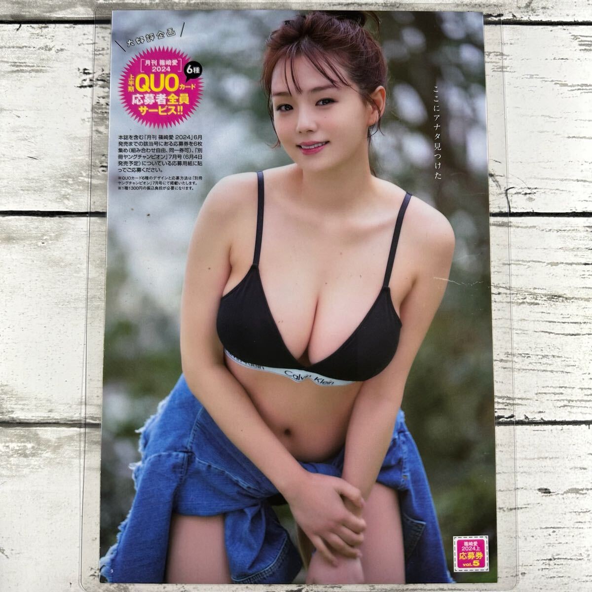 高品質ラミネート処理 篠崎愛 ヤングチャンピオン 2024年11号 雑誌 切り抜き 9P B5フィルム 水着 グラビア アイドル 芸能人 女優(タレント)｜売買されたオークション情報 ...