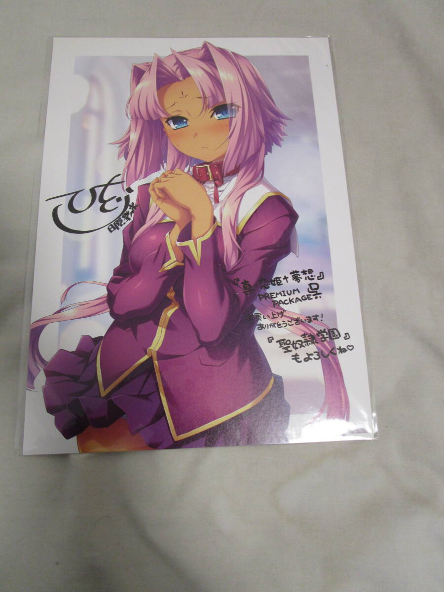 Yahoo!オークション - 【い2909】真・恋姫†夢想 聖奴隷学園 A4...