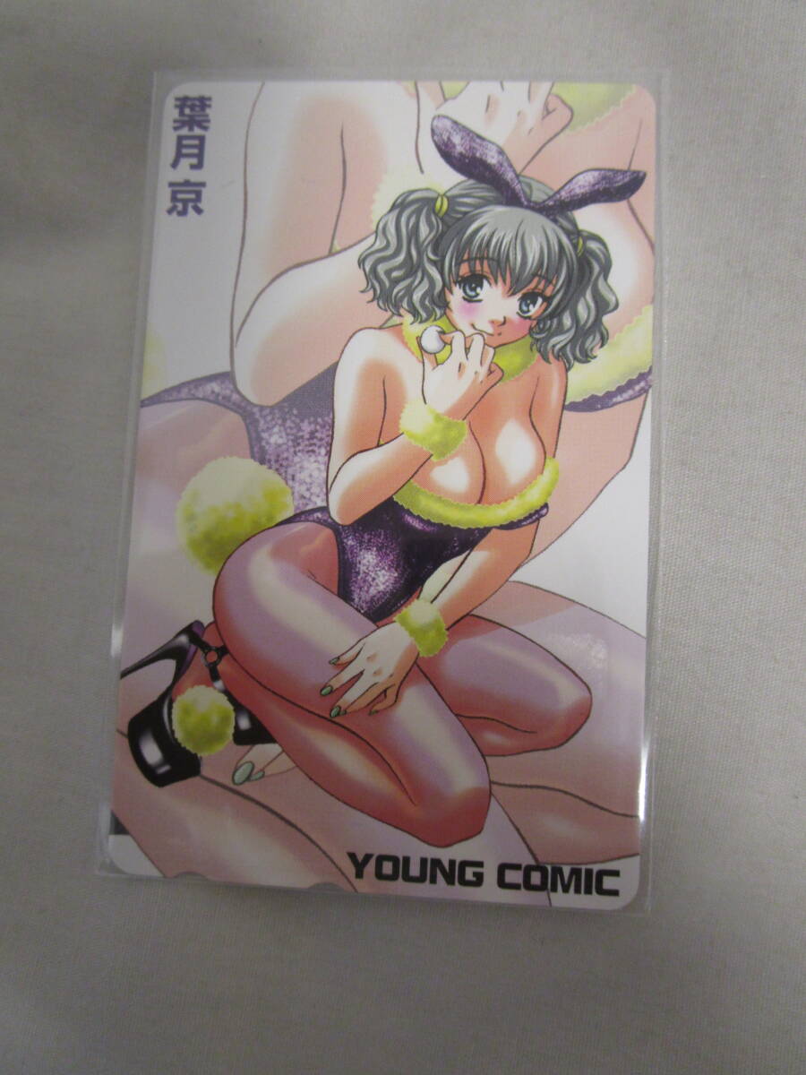 Yahoo!オークション - 【Q155】葉月京 ヤングコミック テレカ