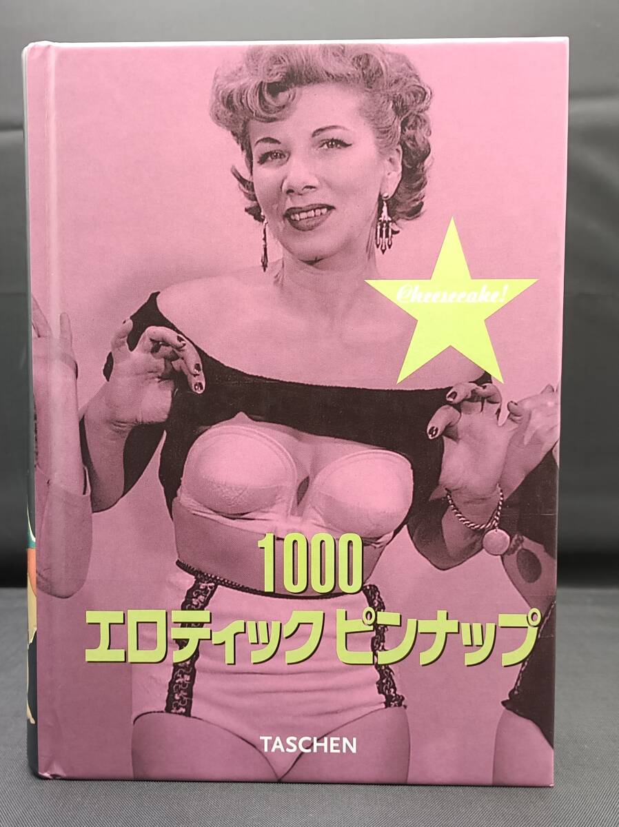 Yahoo!オークション - o57 1000 エロティックピンナップ ザ・ロッテン...