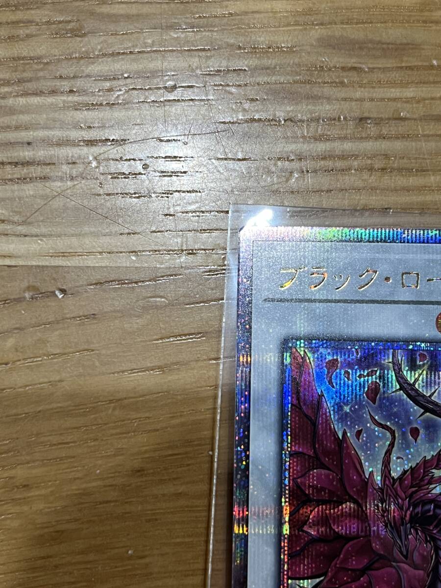 ブラック・ローズ・ドラゴン JP-003 25thシク シークレットレア ブラック・ローズ・ドラゴン JP-003 25thシク シークレットレア