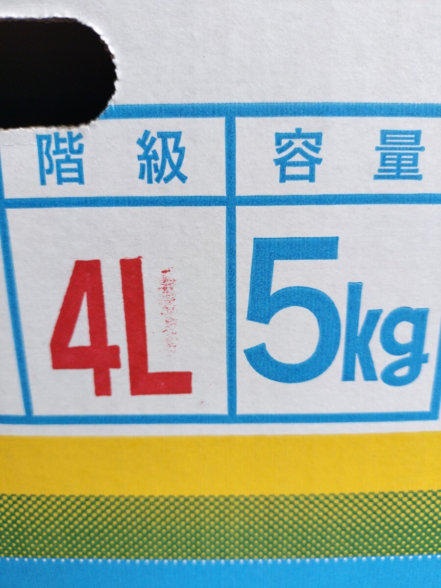 Yahoo!オークション - 高知産 約5Kg 小夏 4L