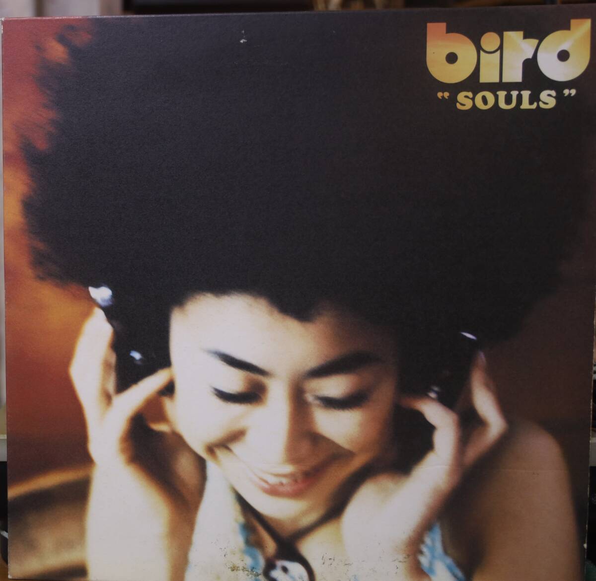 廃盤12inch bird / SOULS(bird)｜売買されたオークション情報、yahooの商品情報をアーカイブ公開 - オークファン（aucfan.com）