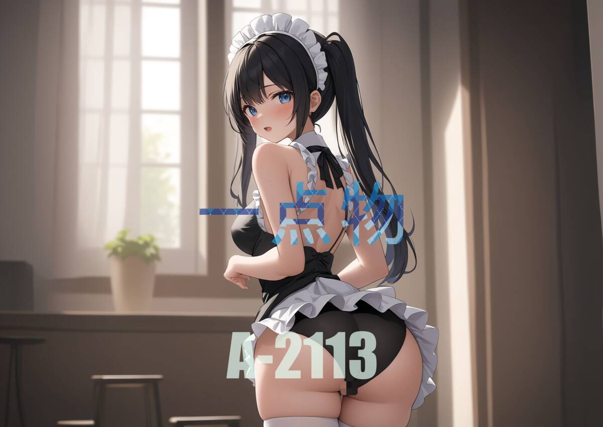 Yahoo!オークション - 【キャンペーン中・一点物】A-2113 美女 美人 A4...