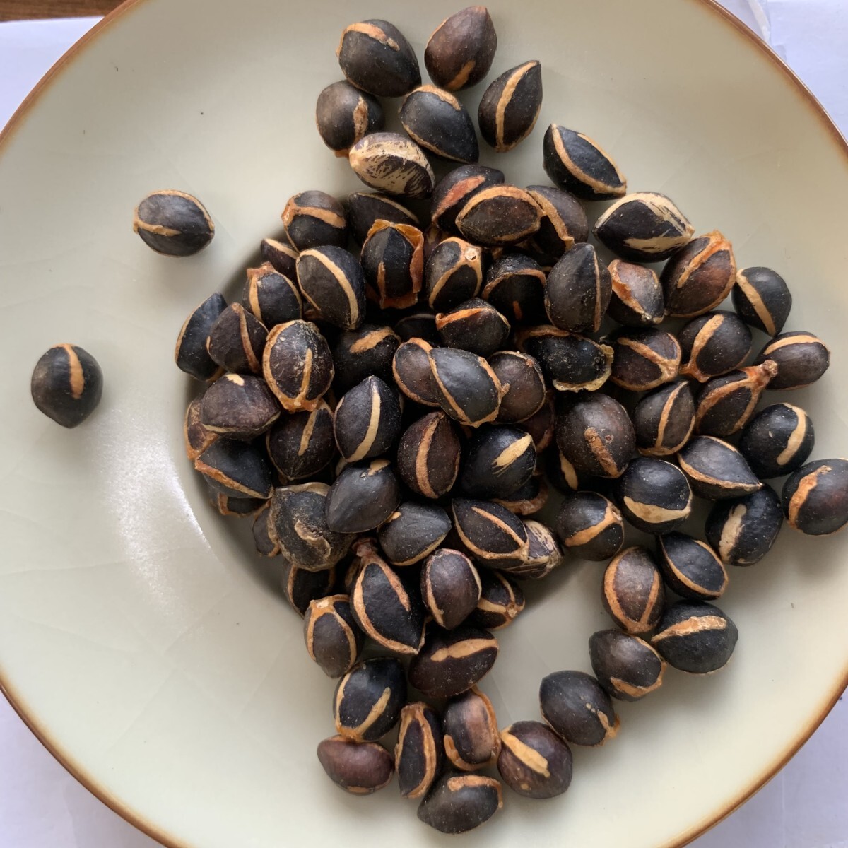 Yahoo!オークション - a181 種子100粒コミフォラミルドブラエディ comm...