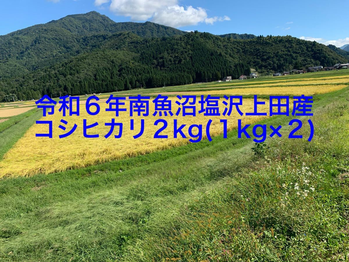 Yahoo!オークション - 令和6年南魚沼塩沢上田産コシヒカリ精米2kg...