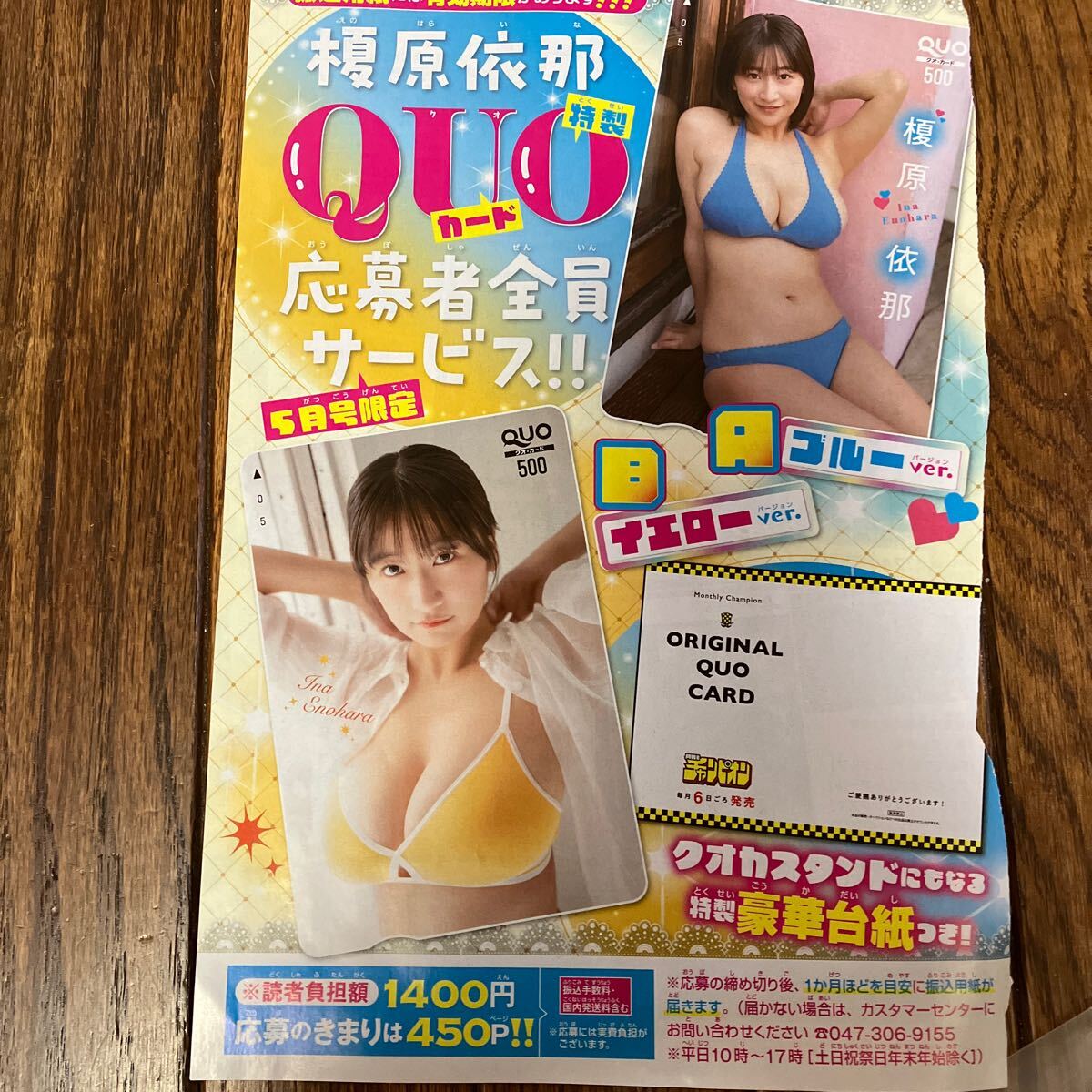 月刊少年チャンピオン 榎原依那 応募者全員サービス QUOカード 応募用紙(その他)｜売買されたオークション情報、yahooの商品情報をアーカイブ公開 - オークファン（aucfan.com）