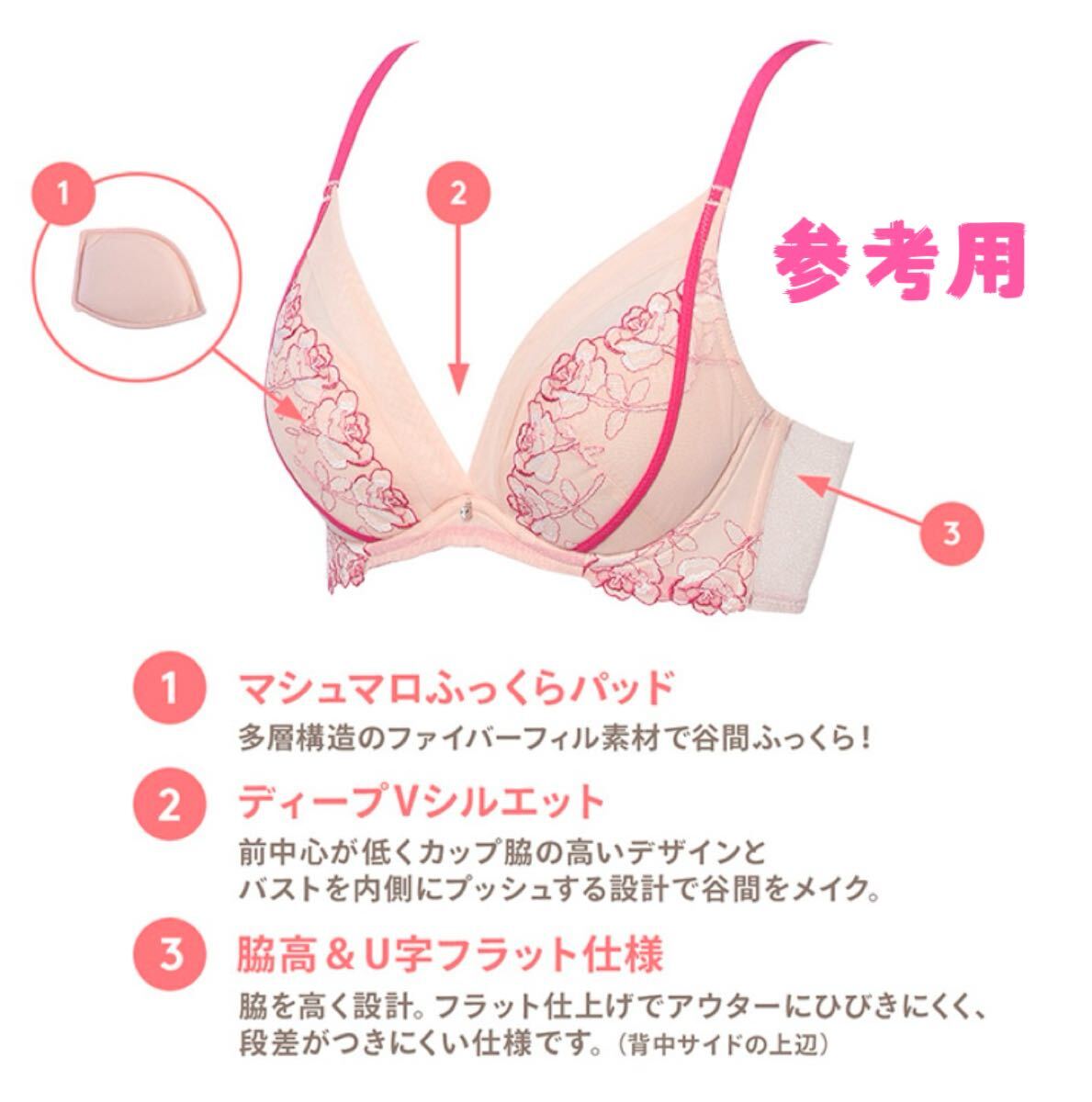 E75 トリンプ チャーミングラマー スリムラインDeepV ローズ ブラジャー(75)｜売買されたオークション情報、yahooの商品情報をアーカイブ公開 - オークファン（aucfan.com）