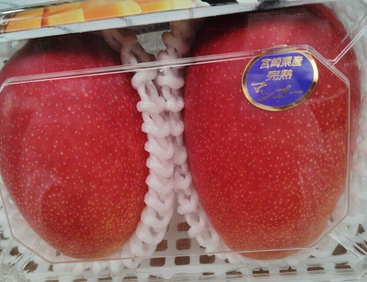 Yahoo!オークション - 宮崎完熟マンゴー2玉630g前後場合によっては3玉...