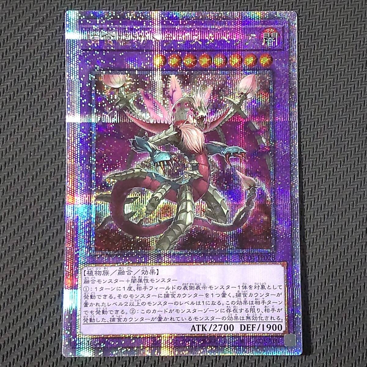 Yahoo!オークション - RC04-JP028 QCSE 捕食植物ドラゴスタペリア クォ...