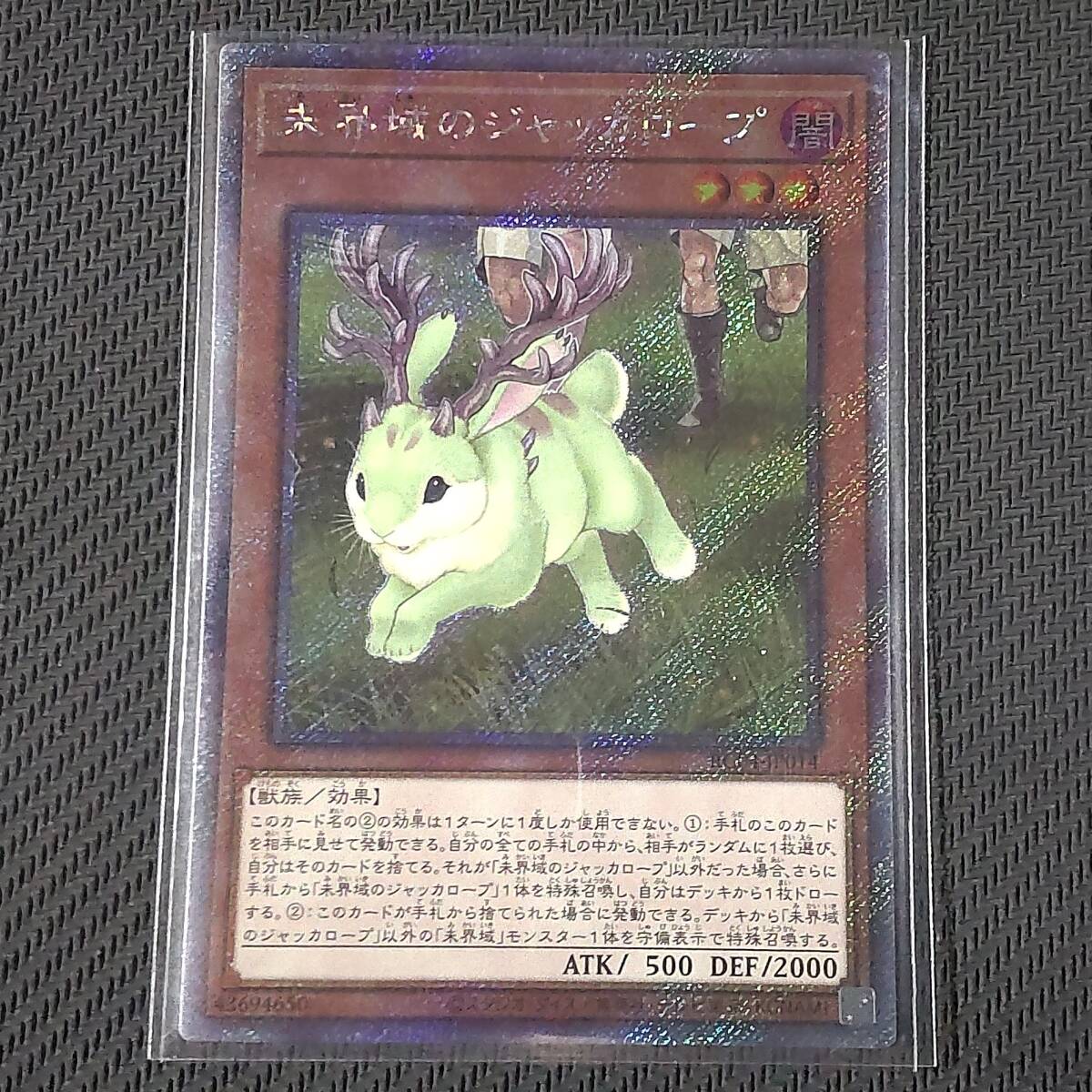 Yahoo!オークション - RC04-JP014 EXSE 未界域のジャッカロープ エクス...