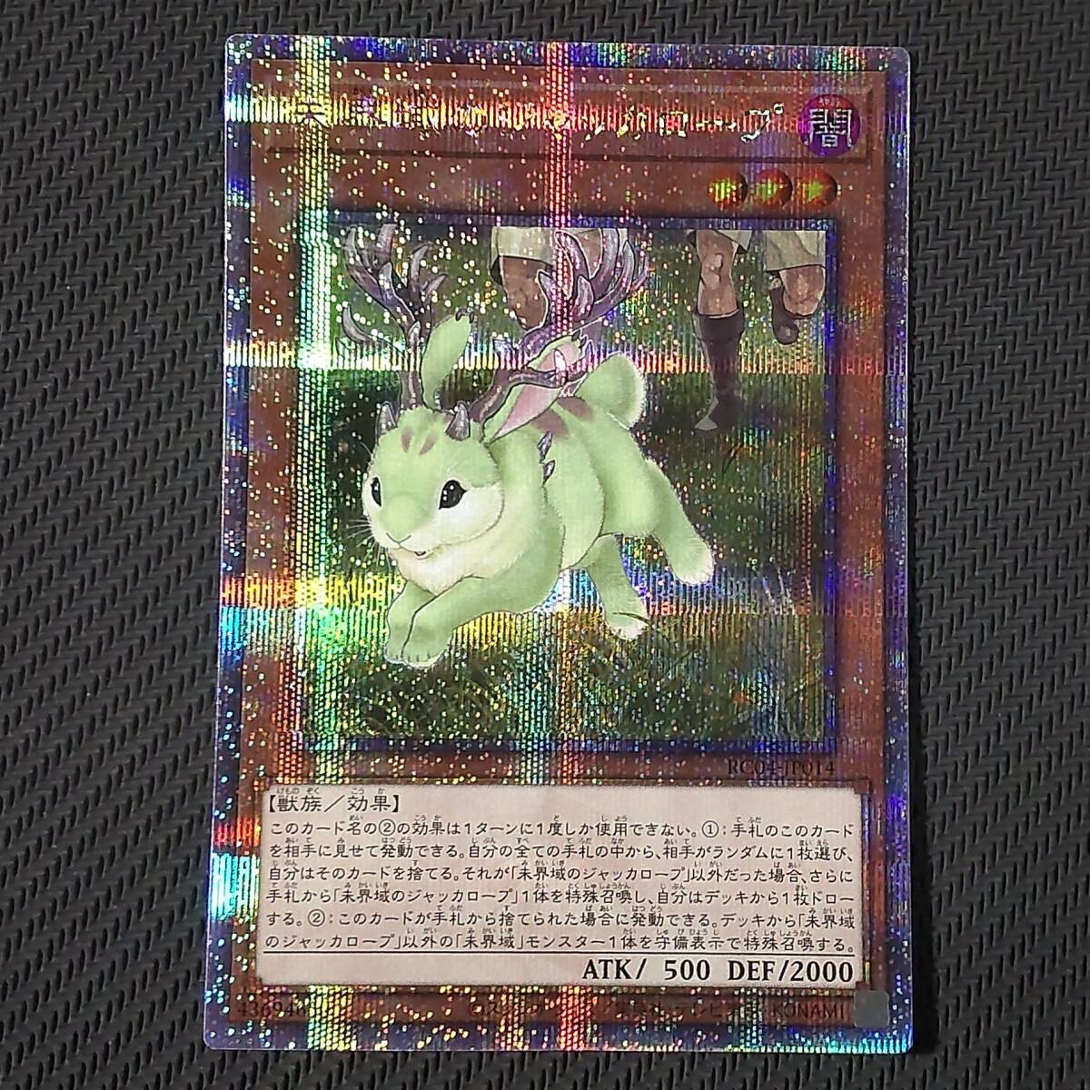 Yahoo!オークション - RC04-JP014 QCSE 未界域のジャッカロープ クォー...