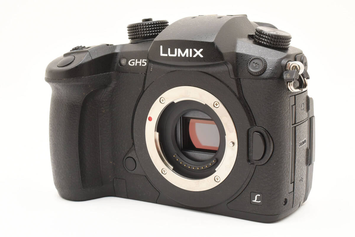 Yahoo!オークション - Panasonic LUMIX GH5 パナソニック ミラーレス一...