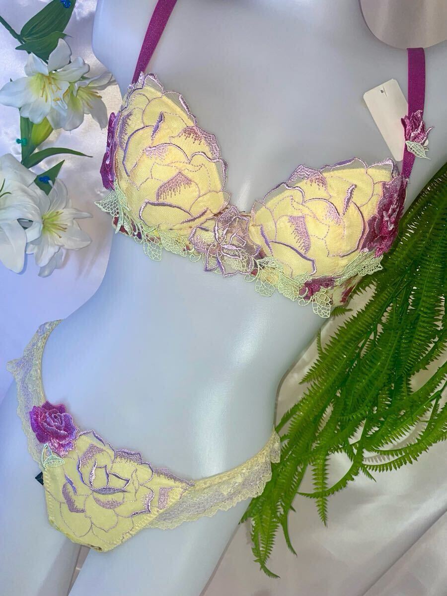 Yahoo!オークション - ─ ─ ─ ワコールsalute BTJ443～43シリーズ～...