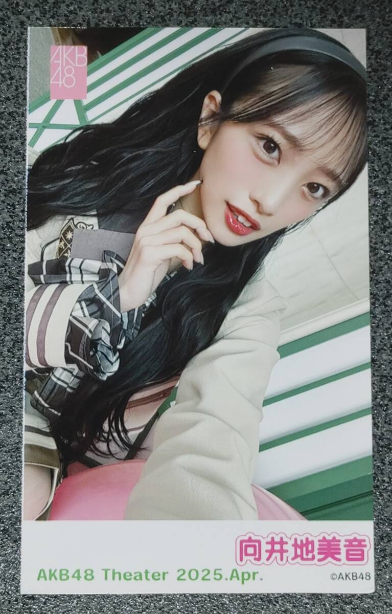 AKB48 向井地美音 チェキ風生写真 2025年4月 ピンポン玉 AKB48 向井地美音 チェキ風生写真 2025年4月 ピンポン玉