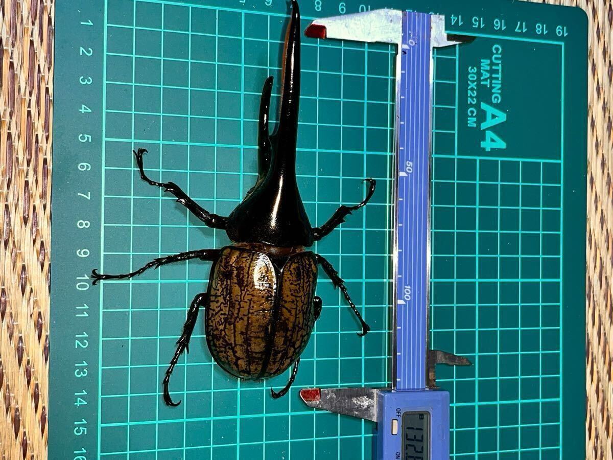 Yahoo!オークション - DHヘラクレス極太極短C68メテオグリーンLINE新成...