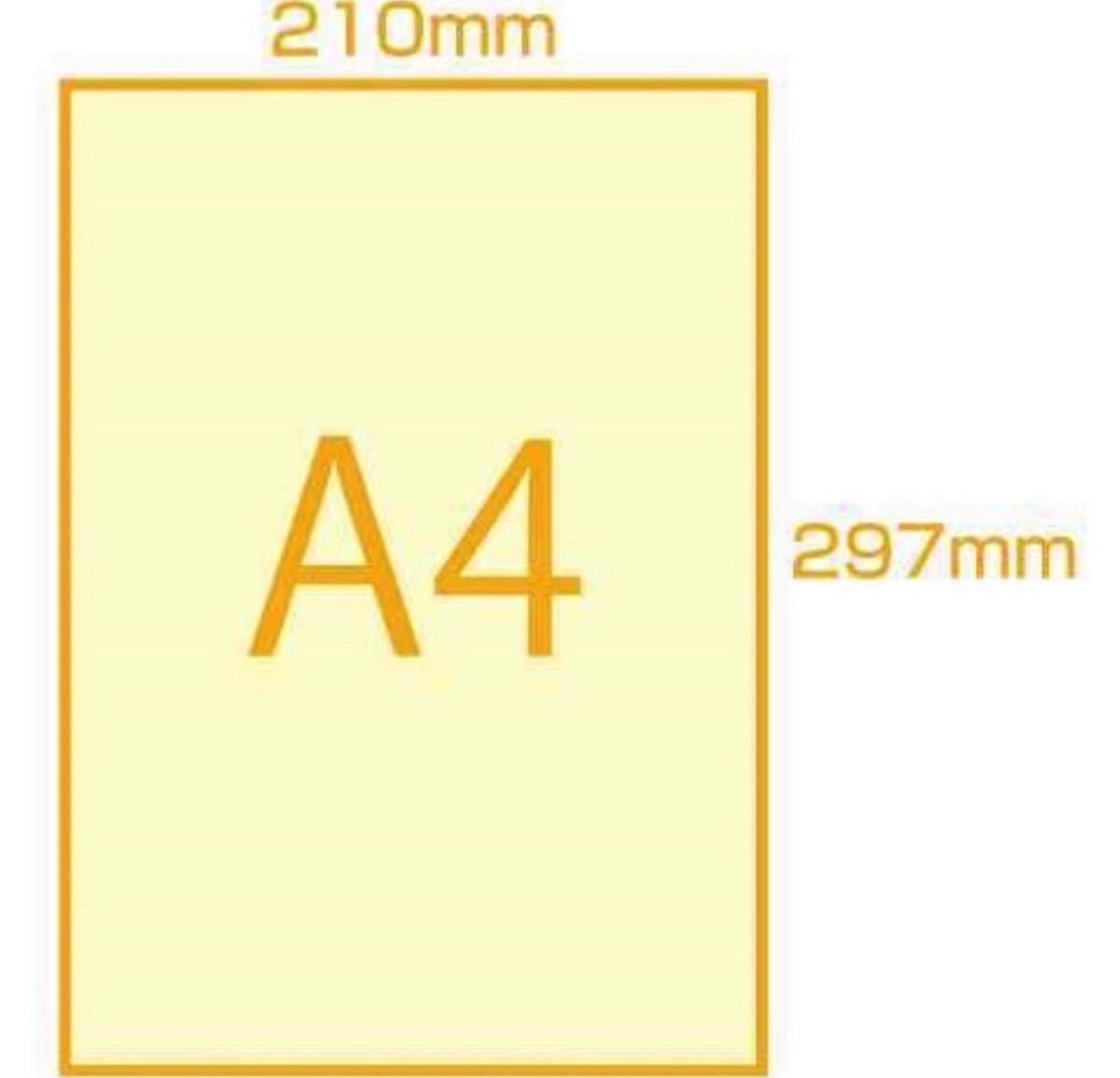Yahoo!オークション - 井上和香 ラミネートポスター A4サイズ A4 ラミ...