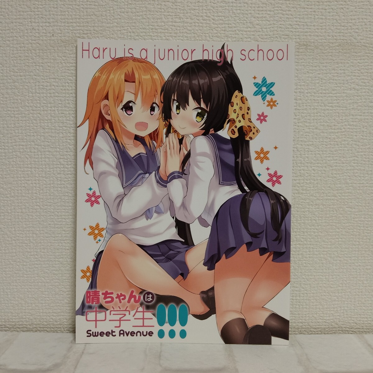 Yahoo!オークション - A2215 男性向 一般 同人誌 晴ちゃんは中学生