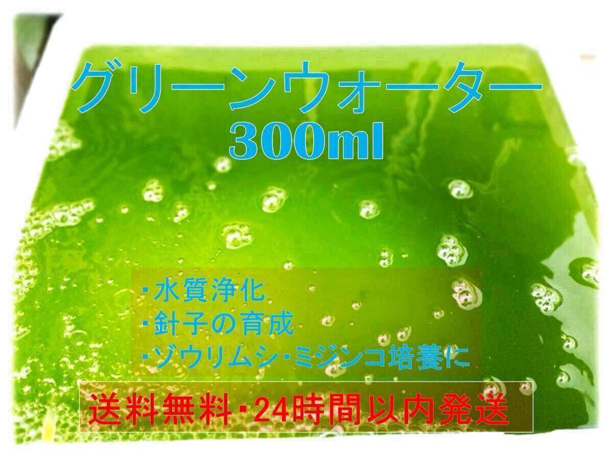 Yahoo!オークション - 青水 グリーンウォーター約300ml