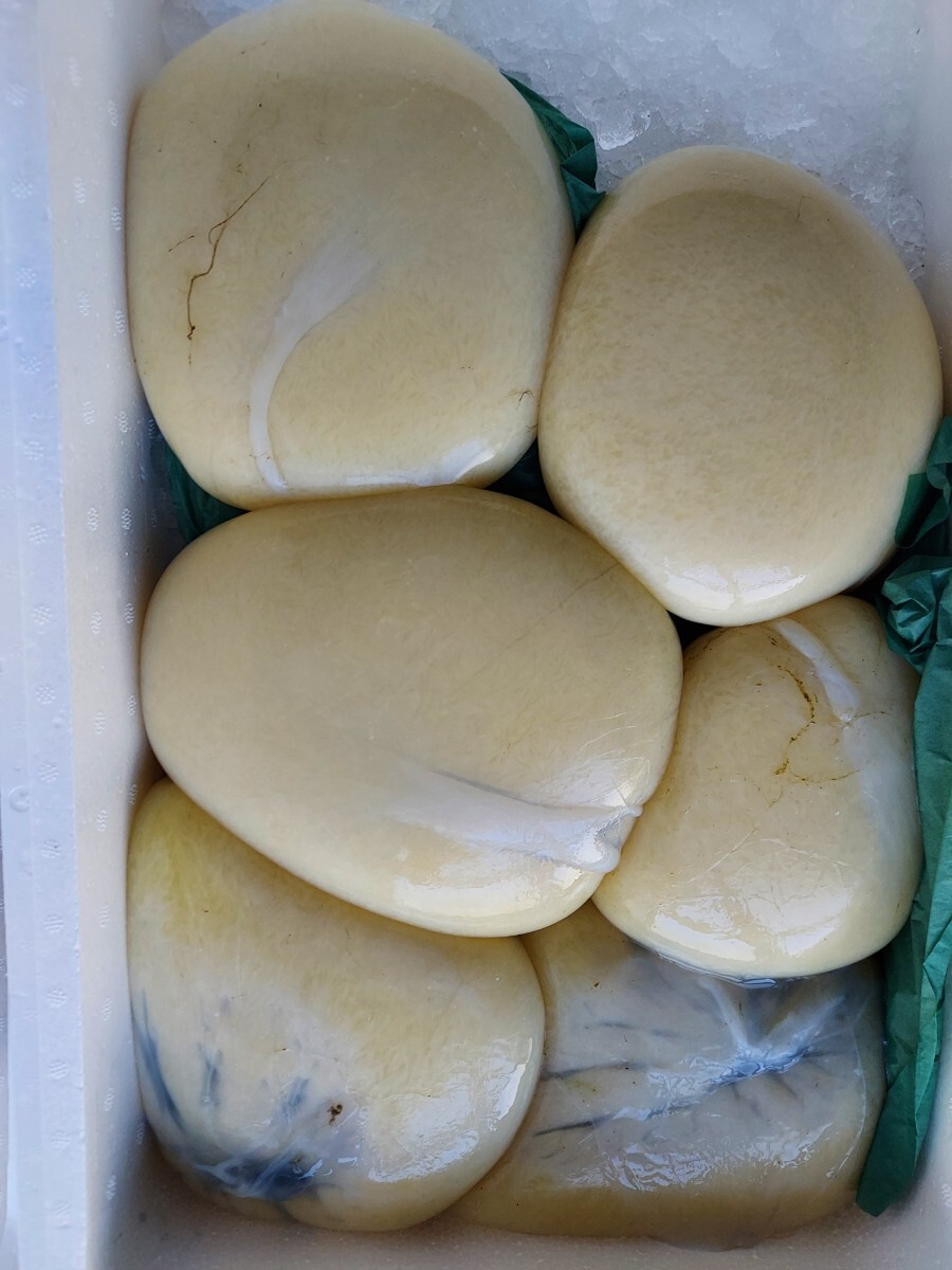 Yahoo!オークション - タコ卵300~490g位1個398円即決