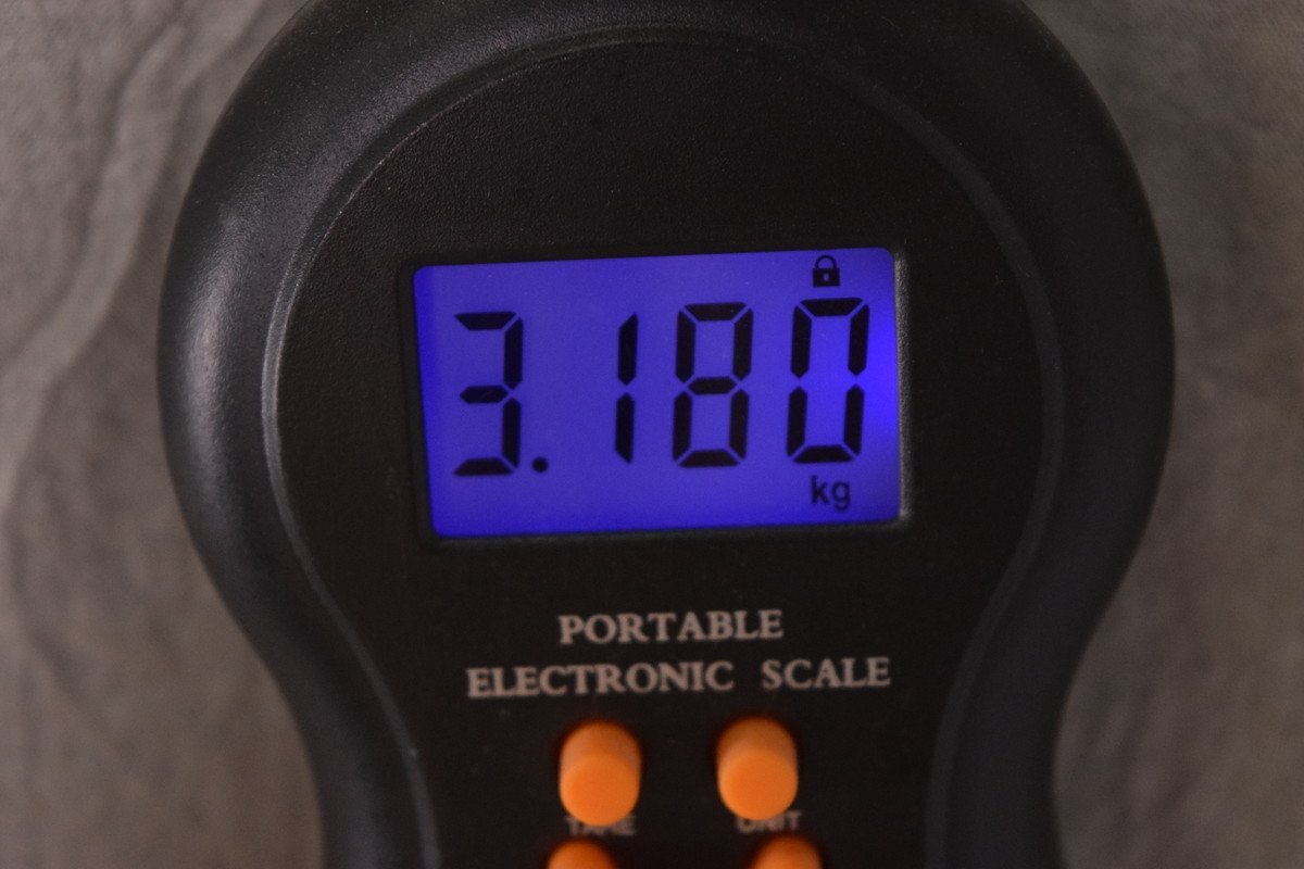 Yahoo!オークション - 【J】Burny MG-145S エレキギター バーニー Yell...