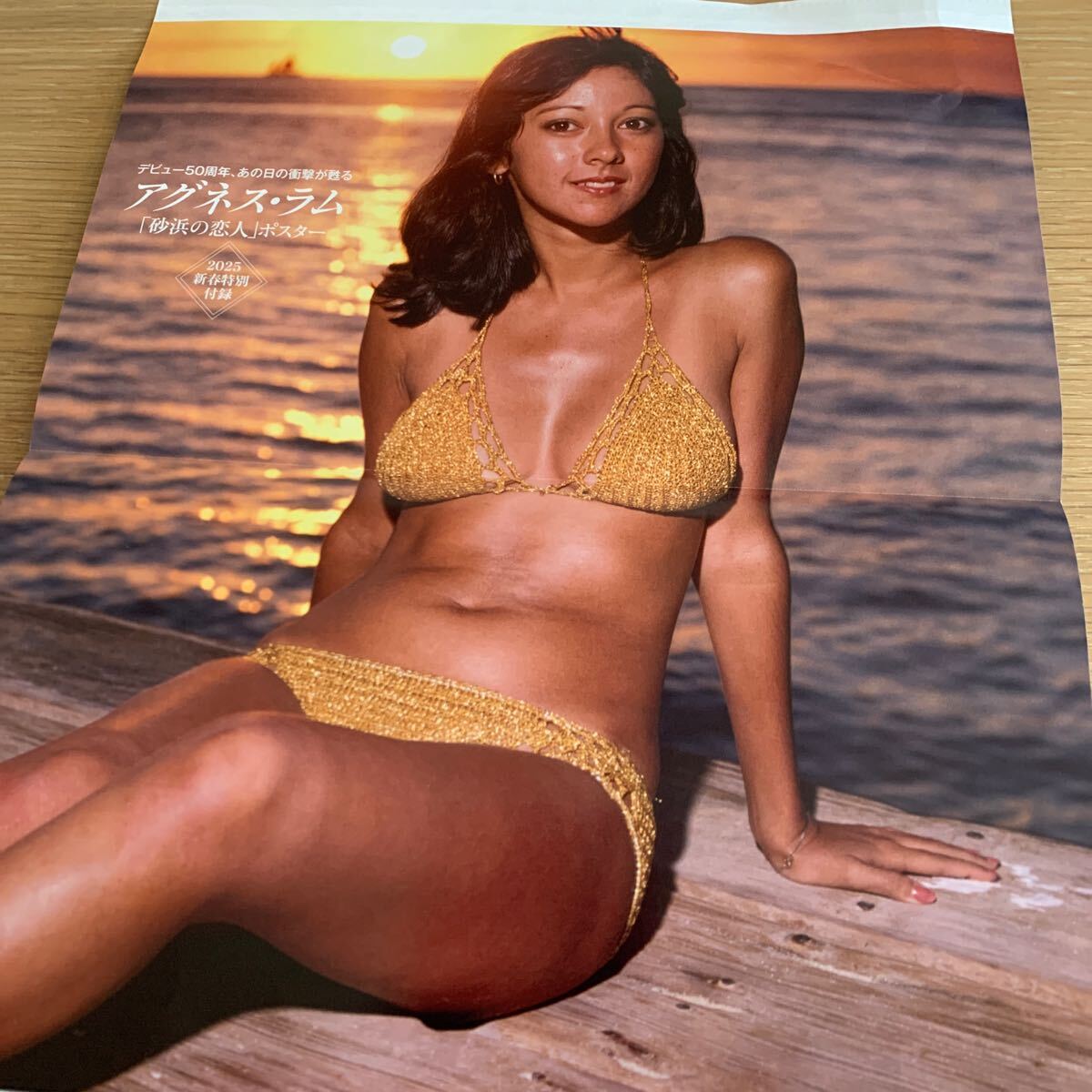 Yahoo!オークション - P34-1 アグネスラム 雑誌切り抜き ピンナップ 1...