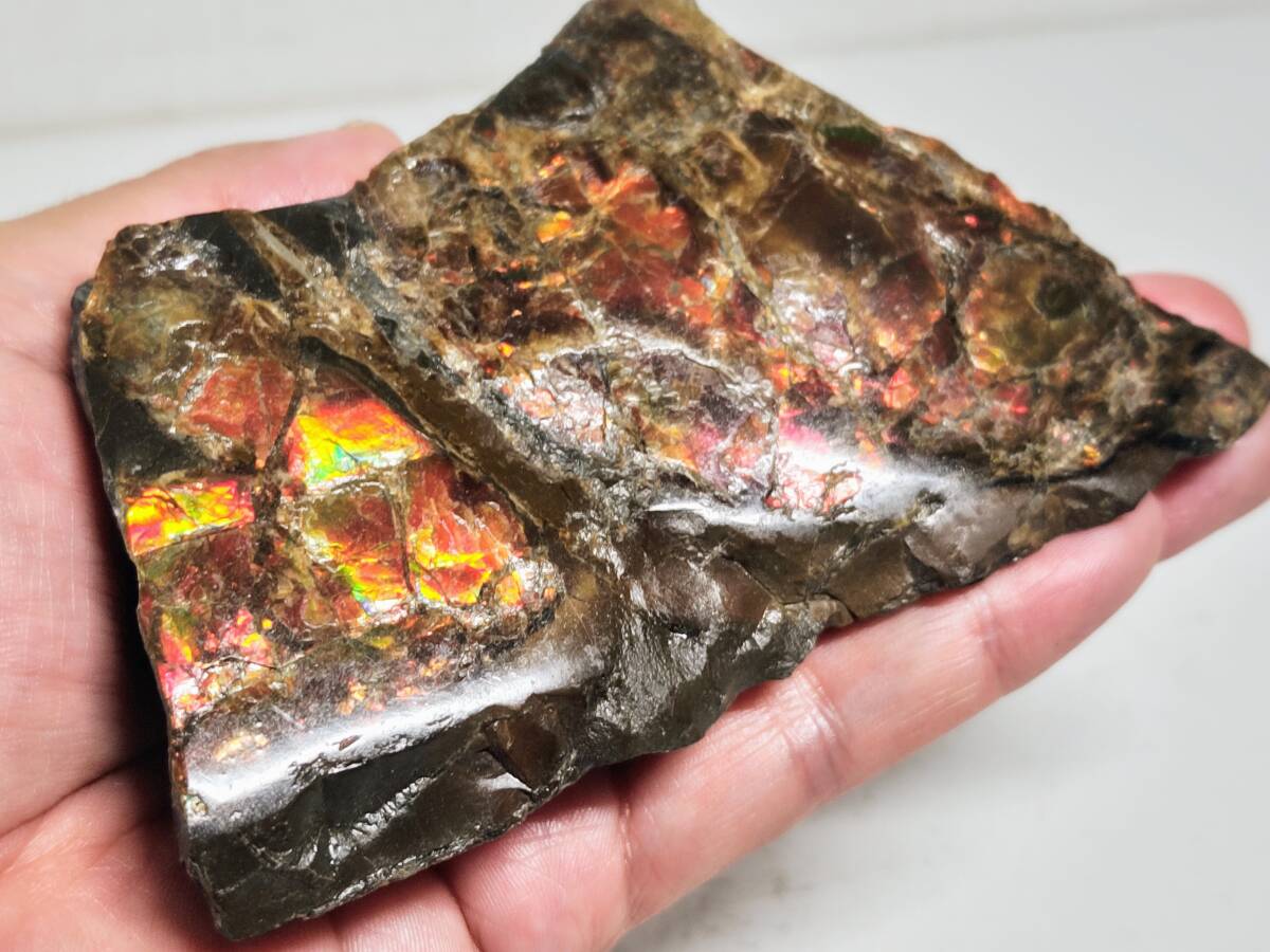 Yahoo!オークション - 【多彩】 333g アンモライト アンモナイト 化石 ...