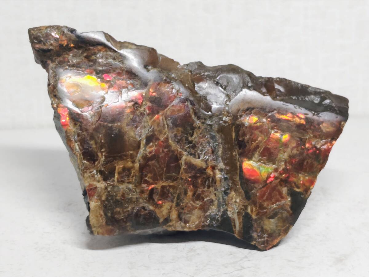 Yahoo!オークション - 【多彩】 333g アンモライト アンモナイト 化石 ...