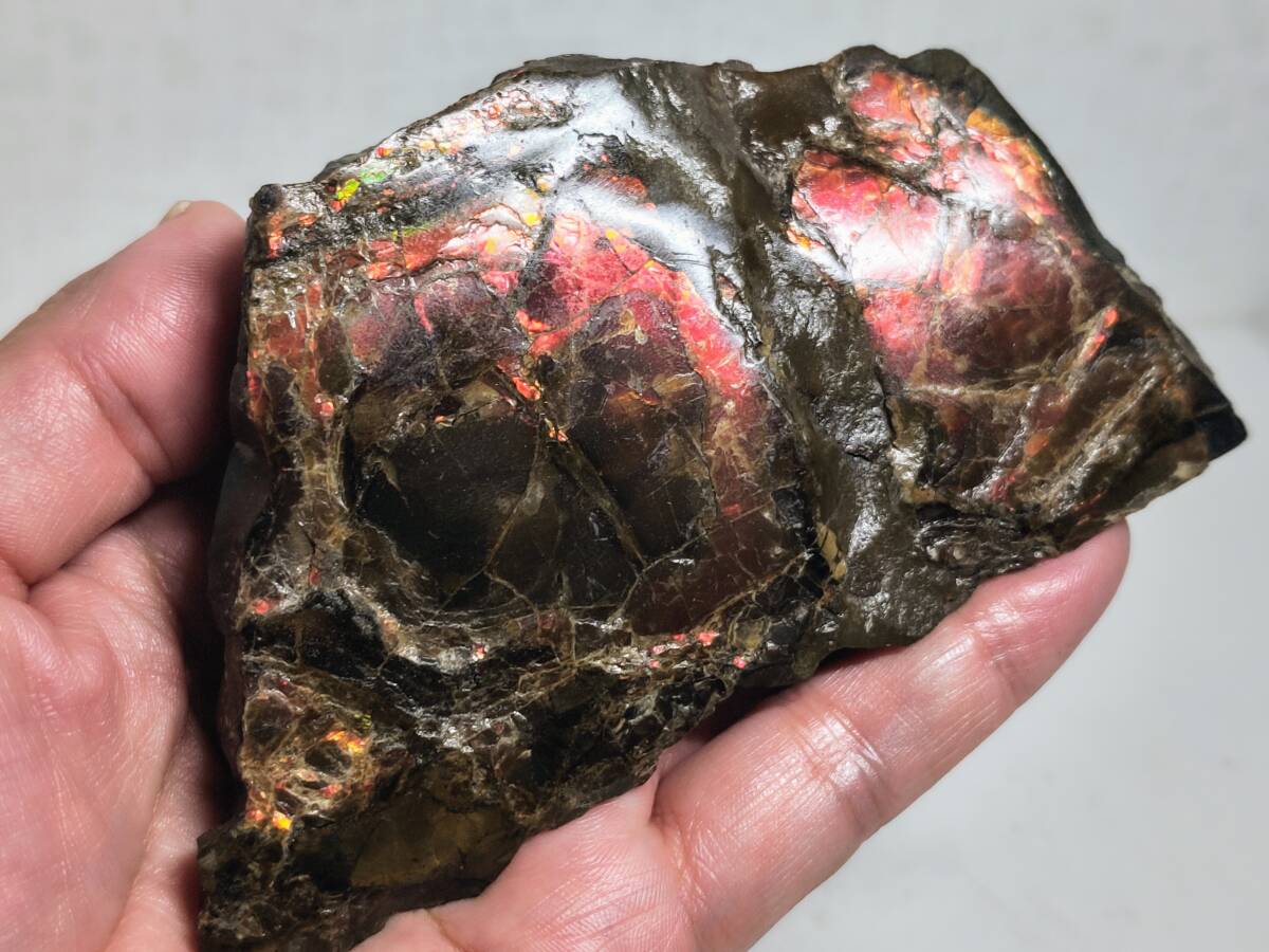 Yahoo!オークション - 【多彩】 333g アンモライト アンモナイト 化石 ...