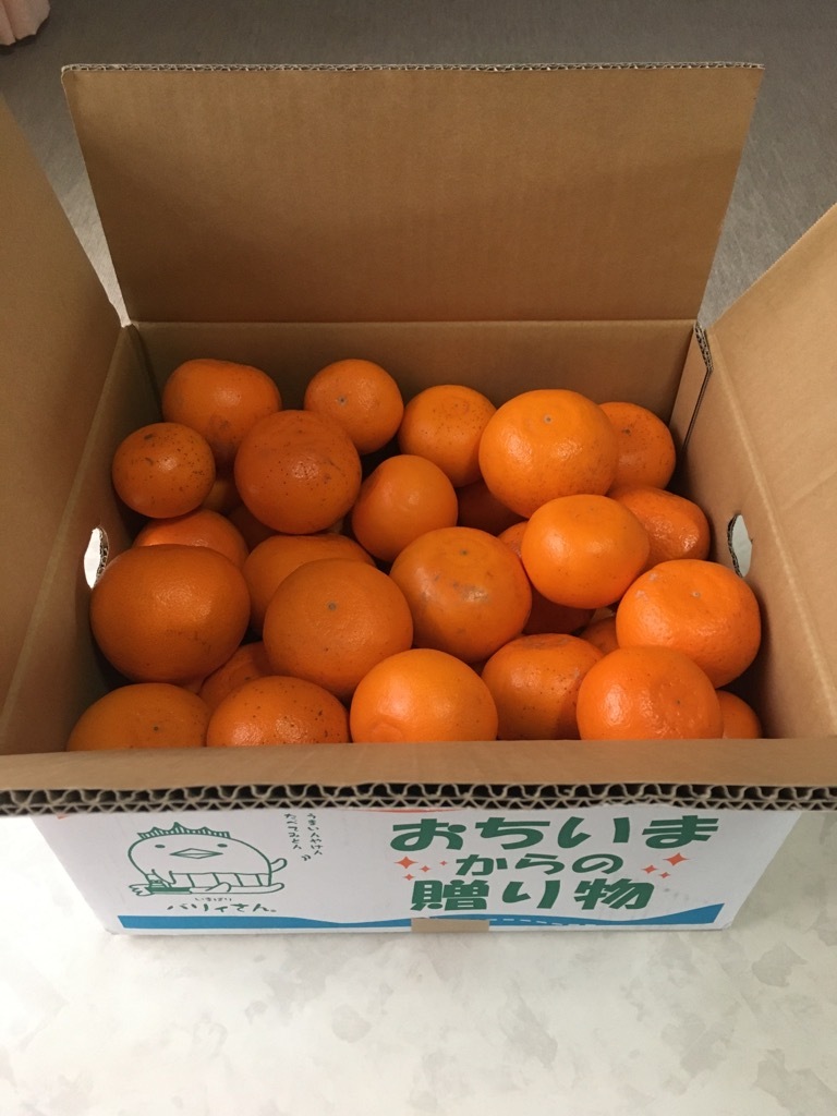 Yahoo!オークション - せとか (st018) 愛媛県大三島 ＜産地直送＞ 家...