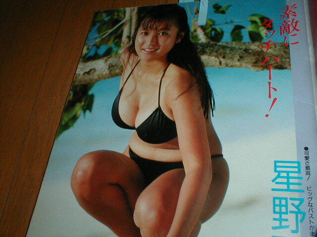 Yahoo!オークション - ACTLESS 星野麗子(かとうれいこ)水着4P 盛本真理...