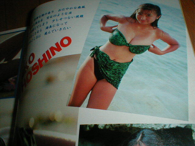 Yahoo!オークション - ACTLESS 水着(星野麗子(かとうれいこ)4P 広田恵...