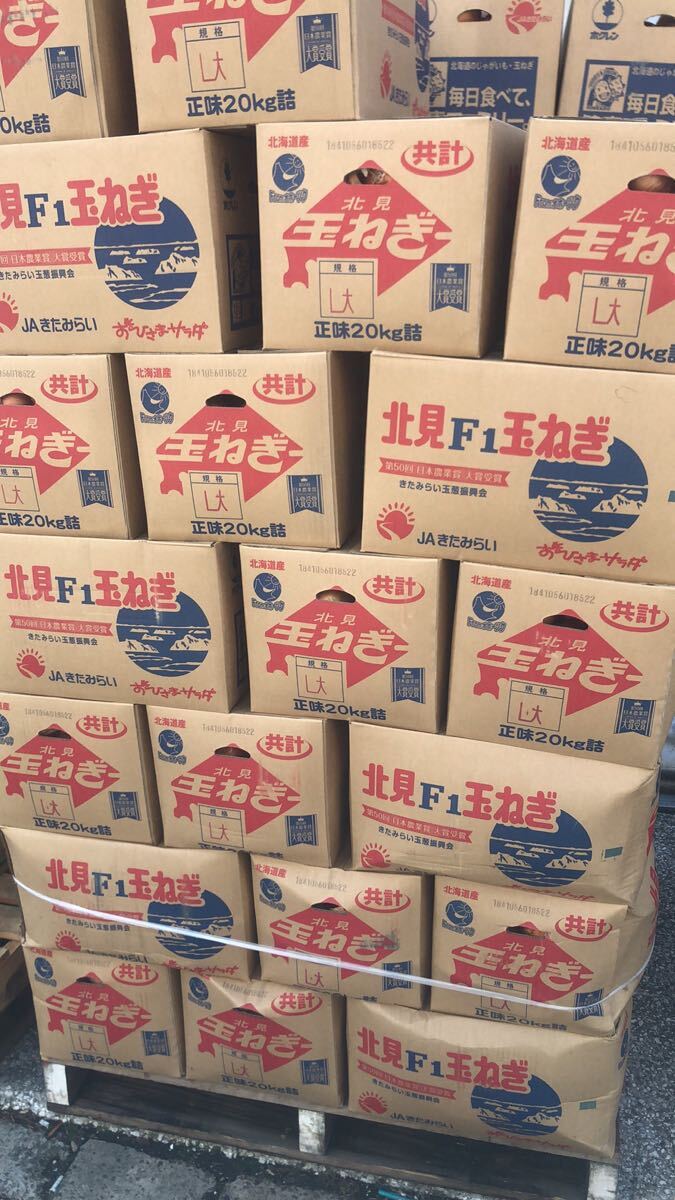 Yahoo!オークション - 175.特売早勝ち玉ねぎ箱込み20kgサイズL－2L