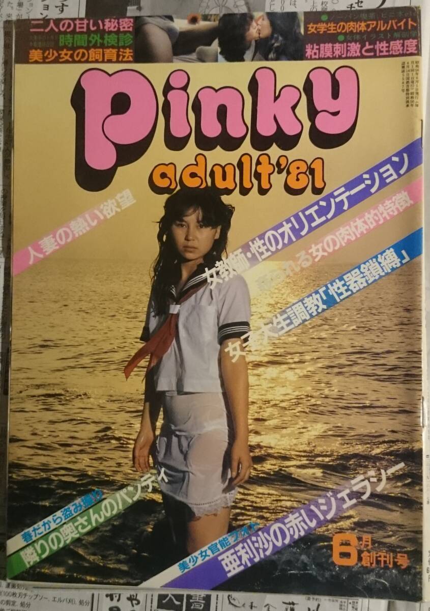 Yahoo!オークション - PINKY 6月創刊号 孝友社出版 昭和56年6月1日発行