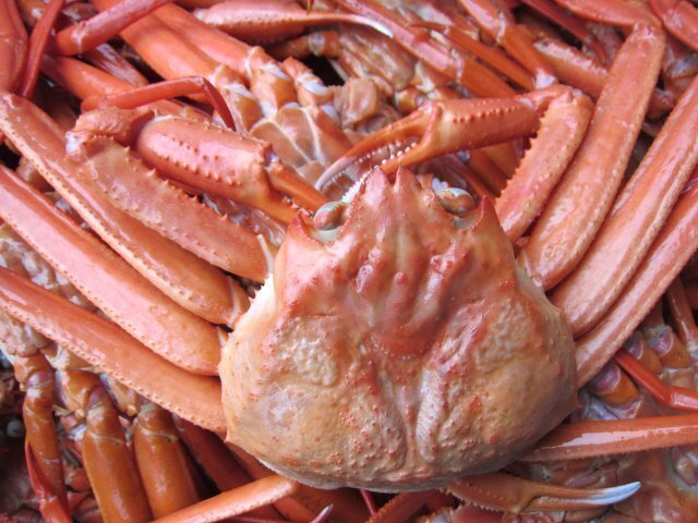 Yahoo!オークション - 10本 名人の浜茹で蟹3L (500-600g）茹でたて直...