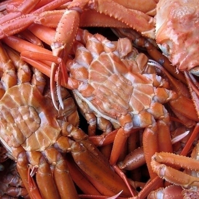 Yahoo!オークション - 3箱 釜揚げ直送 名人の浜茹で蟹【特大2.5kg/6尾...