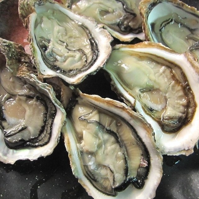 Yahoo!オークション - 生食用「特大 牡蠣3L-2kg」=トップシーズンの[身...