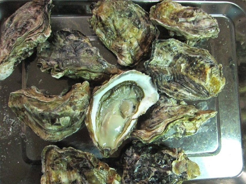 Yahoo!オークション - 生食用「特大 牡蠣3L-2kg」=トップシーズンの[身...