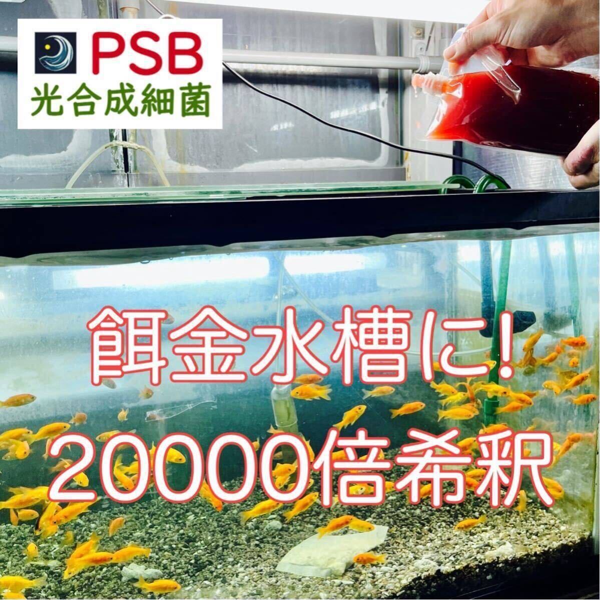 Yahoo!オークション - 《PSB》光合成細菌 2.5L（500mL x 5袋） 園芸
