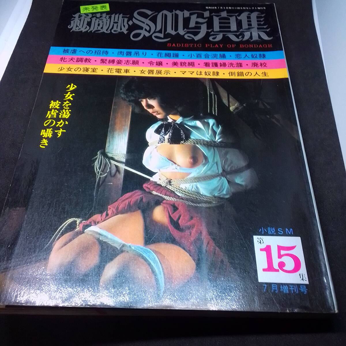 Yahoo!オークション - 未発表秘蔵版・SM写真集 第15集 小説SMセレクト...