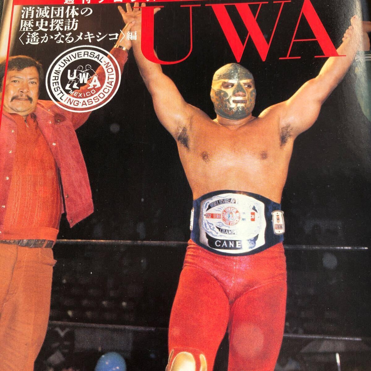 週刊プロレスミニアルバム幻のUWA エルカネック グラン浜田他(マスク)｜売買されたオークション情報、yahooの商品情報をアーカイブ公開 - オークファン（aucfan.com）