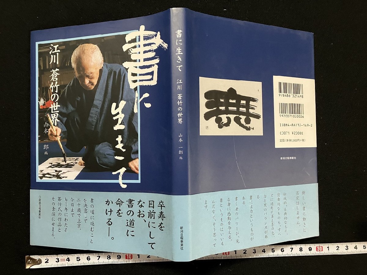 g∞ 書に生きて 江川蒼竹の世界 2006年初版第1刷 新潟日報事業社 /A03(書道)｜売買されたオークション情報、yahooの商品情報をアーカイブ公開 - オークファン（aucfan.com）