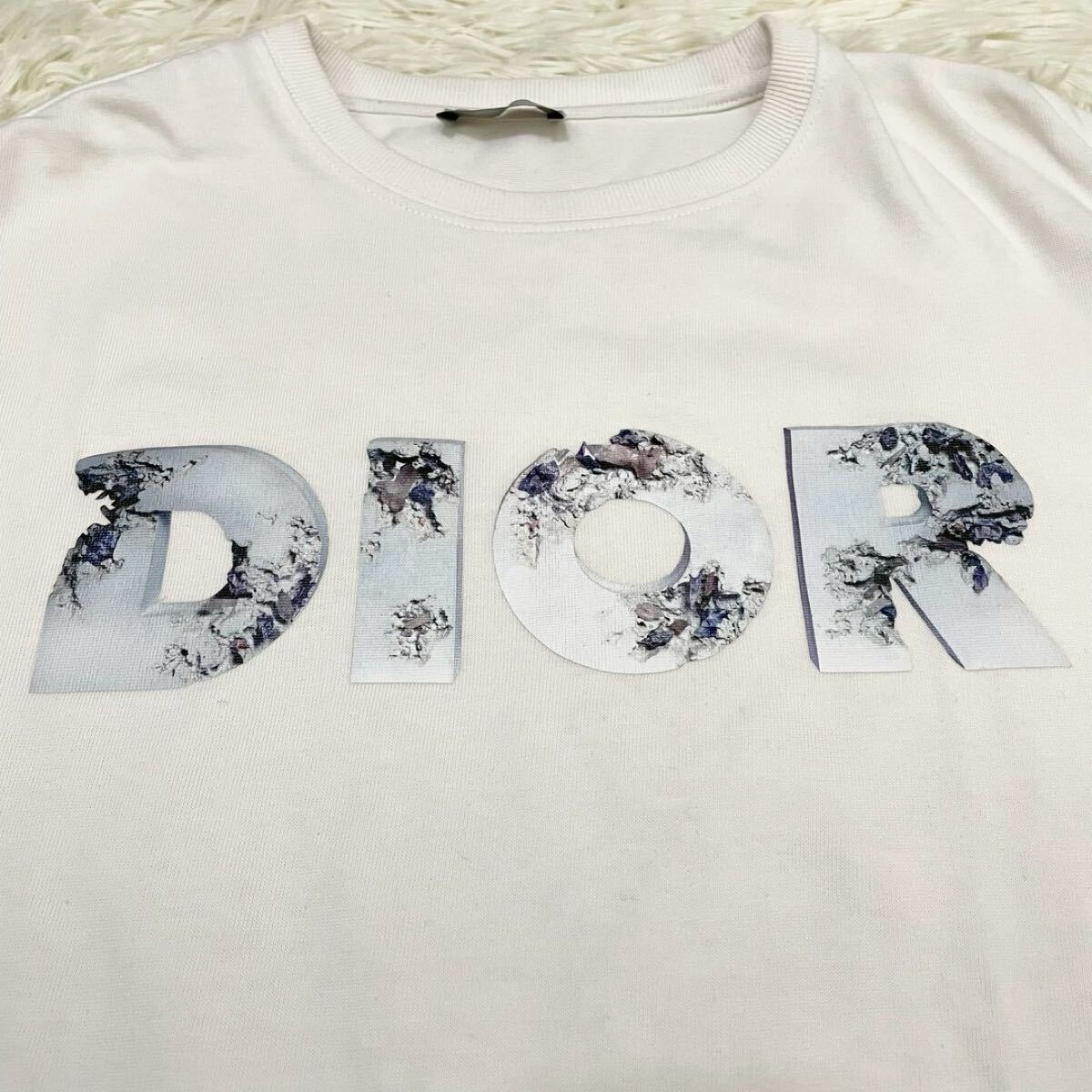 DIOR HOMME 【美品】ダニエルアーシャム ロゴプリント Tシャツ M DIOR HOMME 【美品】ダニエルアーシャム ロゴプリント Tシャツ M