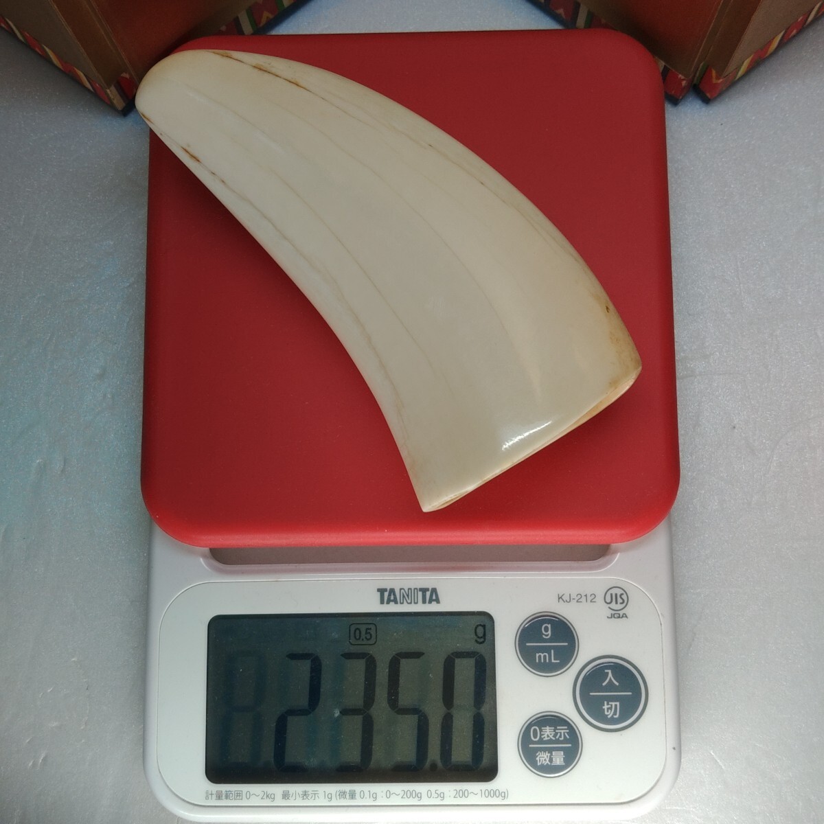 Yahoo!オークション - マッコウクジラ 抹香鯨 鯨歯 鯨牙 重量約235g 根...