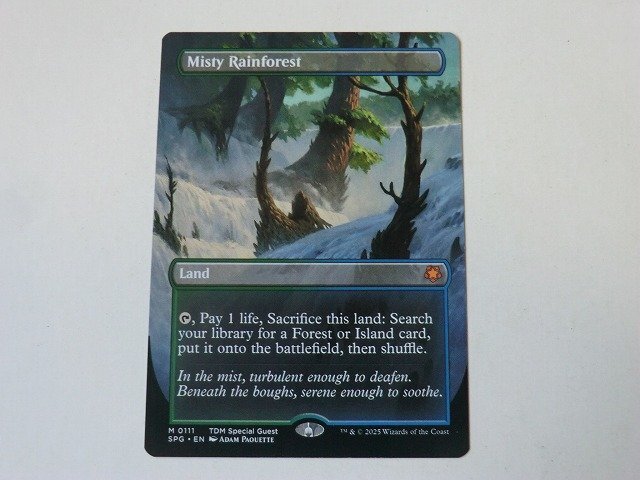 Yahoo!オークション - MTG 美品 【霧深い雨林（ボーダーレス）】 （神...