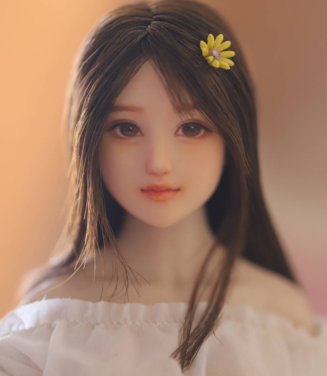 Yahoo!オークション - ANNE 1/6 カスタムドール ヘッド 1166