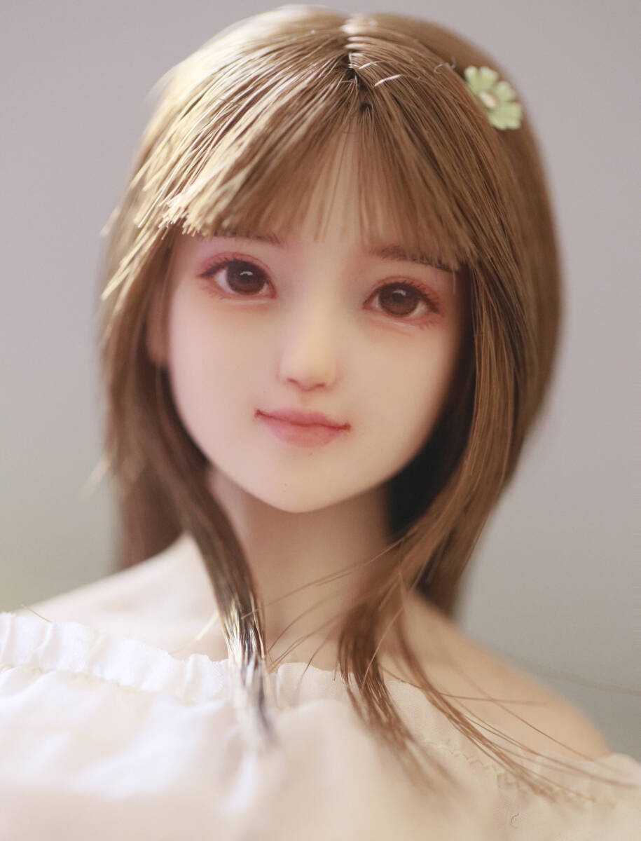 Yahoo!オークション - ANNE 1/6 カスタムドール ヘッド 1170