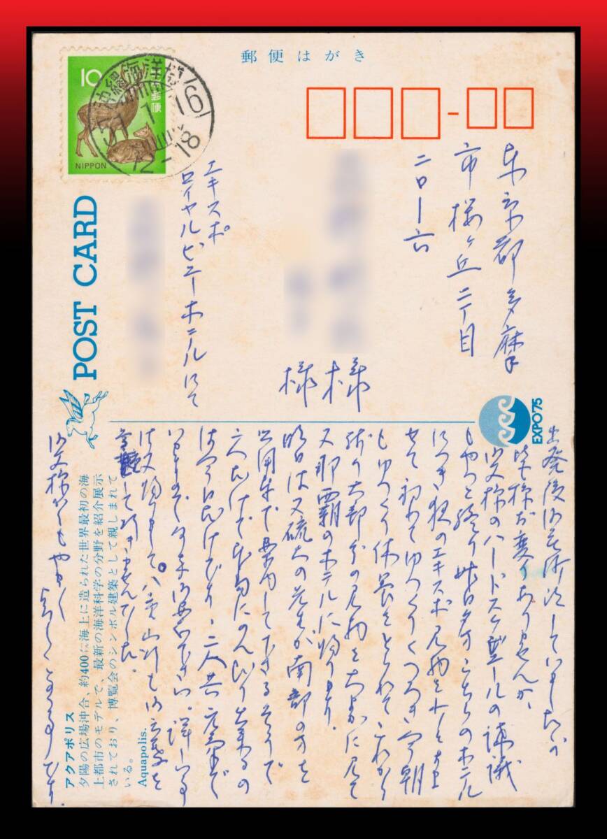 H92百円〜 期間限定特設局｜鹿10円/EXPO75絵葉書 櫛型印：沖縄海洋博/51.1.16/12-18 エンタイア(動植物国宝図案切手)｜売買されたオークション情報、yahooの商品情報を ...
