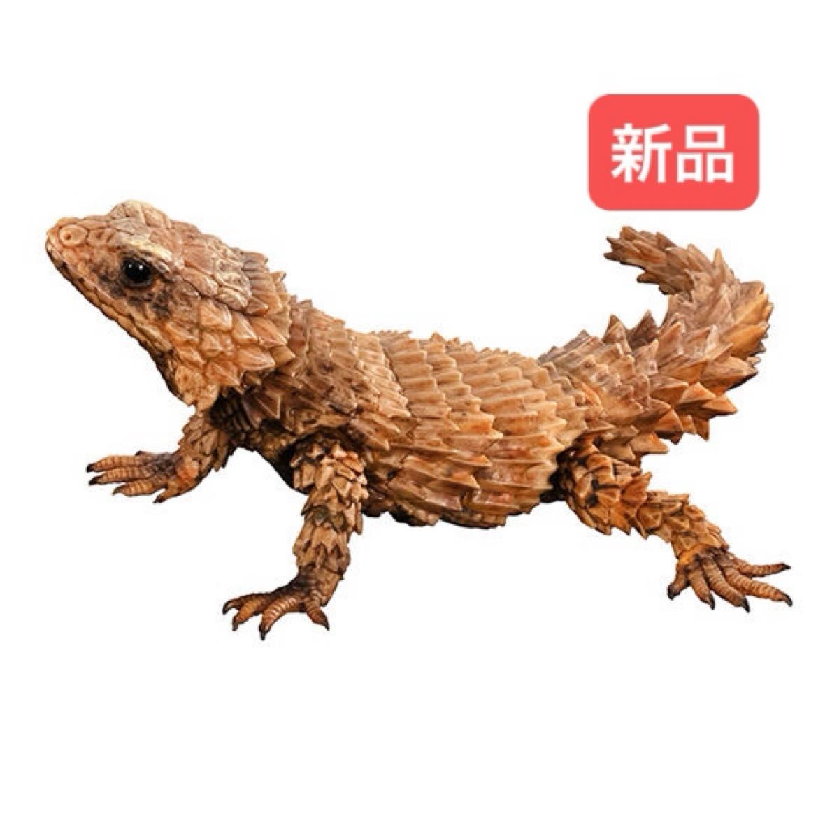 アルマジロトカゲ(イエロー) いきもの大図鑑アドバンス アルマジロトカゲ(イエロー) いきもの大図鑑アドバンス