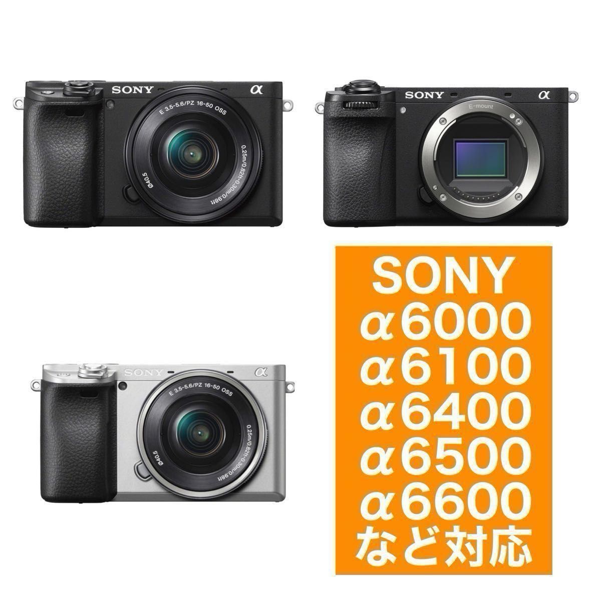 SONYミラーレス対応 スーパーズームレンズ 遠くの被写体を撮影 SONYミラーレス対応 スーパーズームレンズ 遠くの被写体を撮影